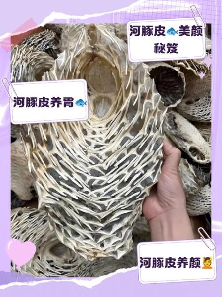 河豚皮为什么要一口吞下去_河豚皮吃法正确吗-第1张图片-山城妙识 河豚皮为什么要一口吞下去_河豚皮吃法正确吗-第1张图片-山城妙识