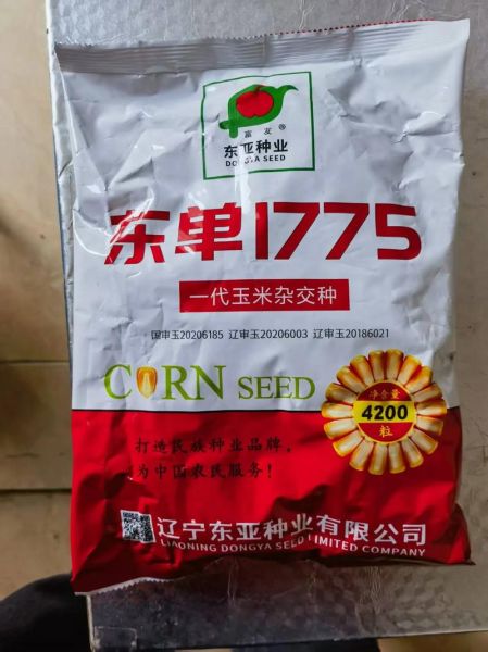 玉米种子批发价格_玉米种子批发哪里便宜-第3张图片-山城妙识 玉米种子批发价格_玉米种子批发哪里便宜-第3张图片-山城妙识