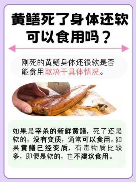 黄鳝怎么杀保留黄鳝血_黄鳝血保存技巧-第3张图片-山城妙识 黄鳝怎么杀保留黄鳝血_黄鳝血保存技巧-第3张图片-山城妙识
