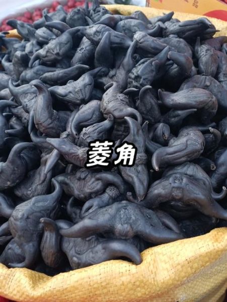 菱角图片大全_菱角长什么样-第1张图片-山城妙识 菱角图片大全_菱角长什么样-第1张图片-山城妙识