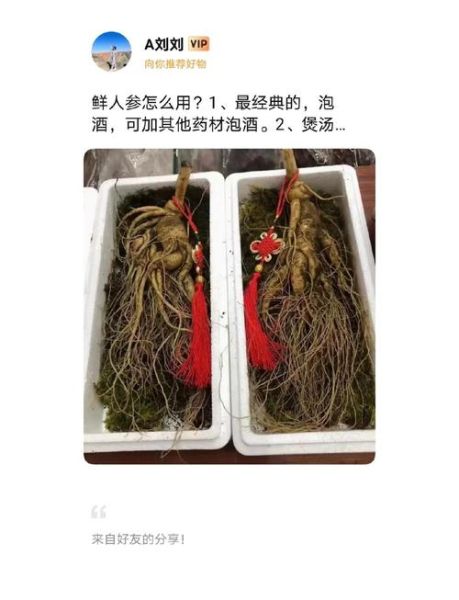 新鲜人参怎么吃_鲜人参的正确吃法-第1张图片-山城妙识 新鲜人参怎么吃_鲜人参的正确吃法-第1张图片-山城妙识