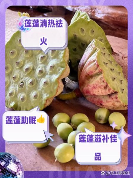 莲蓬的功效与作用_莲蓬怎么吃最养生-第1张图片-山城妙识 莲蓬的功效与作用_莲蓬怎么吃最养生-第1张图片-山城妙识