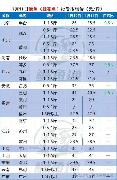 桂鱼现在市场价多少钱一斤_2024最新行情-第1张图片-山城妙识 桂鱼现在市场价多少钱一斤_2024最新行情-第1张图片-山城妙识
