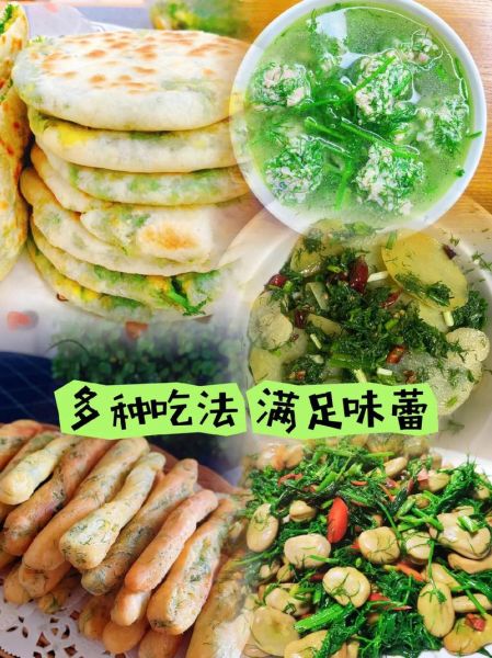 小茴香苗怎么种_小茴香苗多久能采收-第2张图片-山城妙识 小茴香苗怎么种_小茴香苗多久能采收-第2张图片-山城妙识