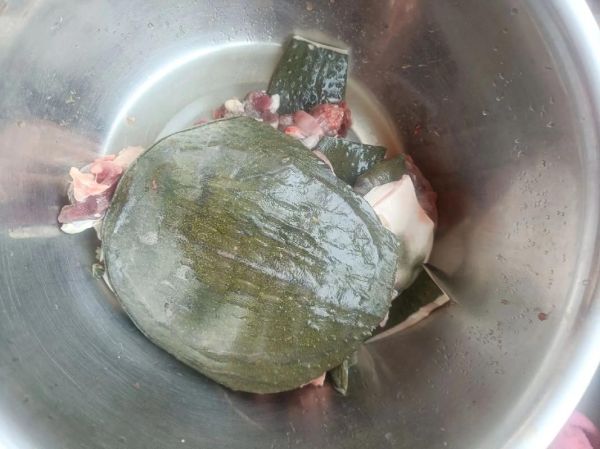 霸王别姬菜的功效_霸王别姬菜适合什么人吃-第3张图片-山城妙识 霸王别姬菜的功效_霸王别姬菜适合什么人吃-第3张图片-山城妙识