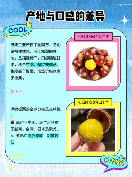 野生锥栗可以吃吗_野生锥栗与板栗区别-第3张图片-山城妙识