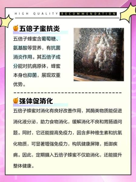 五倍子蜂蜜的功效与作用_五倍子蜂蜜的禁忌有哪些-第1张图片-山城妙识