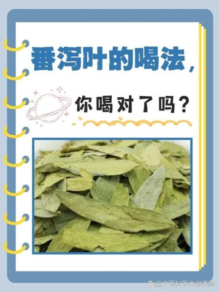 番泻叶减肥正确吃法_番泻叶一天喝几次不伤身-第2张图片-山城妙识 番泻叶减肥正确吃法_番泻叶一天喝几次不伤身-第2张图片-山城妙识