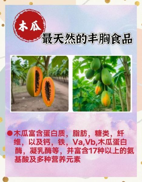 木瓜奶丰胸是真的吗_木瓜奶什么时候喝最好-第3张图片-山城妙识 木瓜奶丰胸是真的吗_木瓜奶什么时候喝最好-第3张图片-山城妙识