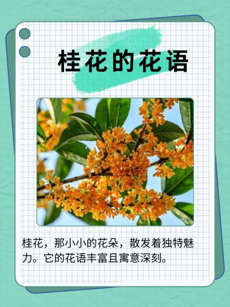 闻到桂花香是什么感觉_如何形容桂花香的心情-第1张图片-山城妙识