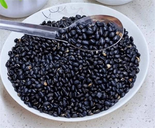 黑豆怎么吃最补黑色素_黑豆怎么吃效果最好-第1张图片-山城妙识 黑豆怎么吃最补黑色素_黑豆怎么吃效果最好-第1张图片-山城妙识