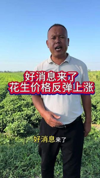 花生价格最新行情_花生价格为何波动-第2张图片-山城妙识 花生价格最新行情_花生价格为何波动-第2张图片-山城妙识