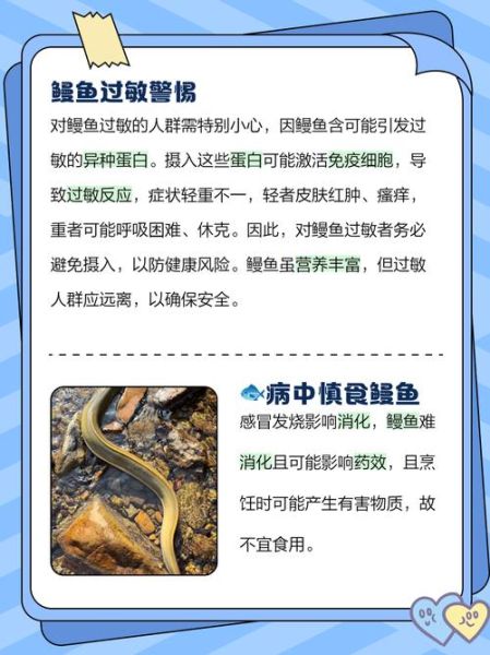 中国人不吃鳗鱼_鳗鱼在中国不受欢迎的原因-第2张图片-山城妙识