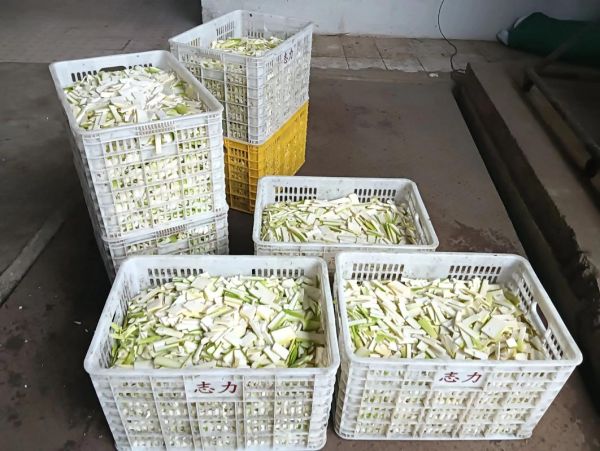 金竹笋怎么保存_金竹笋图片大全-第2张图片-山城妙识 金竹笋怎么保存_金竹笋图片大全-第2张图片-山城妙识