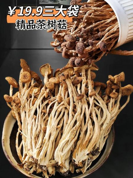 茶树菇煮多久才熟_干茶树菇煮多久能熟-第1张图片-山城妙识 茶树菇煮多久才熟_干茶树菇煮多久能熟-第1张图片-山城妙识