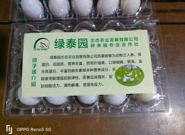 鸽子蛋一天吃几个补肾_怎么吃最养肾-第3张图片-山城妙识 鸽子蛋一天吃几个补肾_怎么吃最养肾-第3张图片-山城妙识