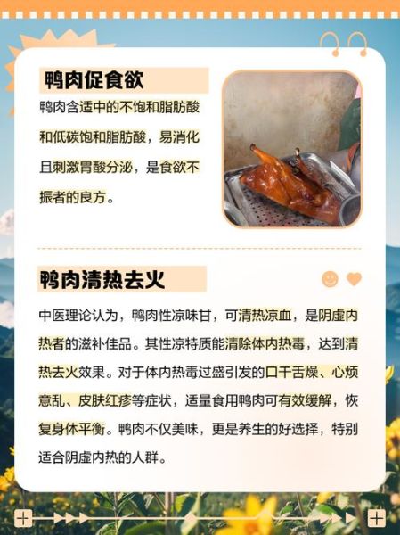 鸭肉的功效与作用_鸭肉怎么吃最营养-第1张图片-山城妙识 鸭肉的功效与作用_鸭肉怎么吃最营养-第1张图片-山城妙识