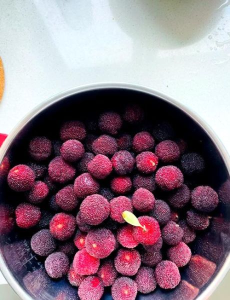 杨梅干的功效与作用_杨梅干吃多了会上火吗-第1张图片-山城妙识