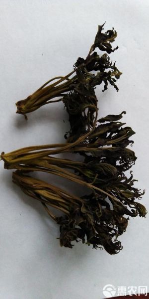 香椿干怎么做好吃_香椿干的做法大全-第3张图片-山城妙识