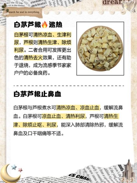 芦根泡水喝的功效_芦根泡水能天天喝吗-第2张图片-山城妙识