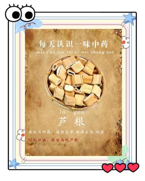 芦根泡水喝的功效_芦根泡水能天天喝吗-第3张图片-山城妙识