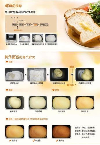 aca面包机怎么使用_aca面包机做面包步骤-第2张图片-山城妙识