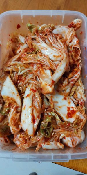 韩式泡菜怎么做_韩式泡菜发酵几天能吃-第3张图片-山城妙识 韩式泡菜怎么做_韩式泡菜发酵几天能吃-第3张图片-山城妙识