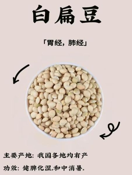 白扁豆的功效与禁忌_哪些人不能吃-第1张图片-山城妙识
