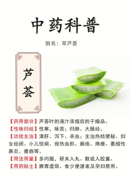 芦荟的功效与作用_芦荟的禁忌有哪些-第1张图片-山城妙识