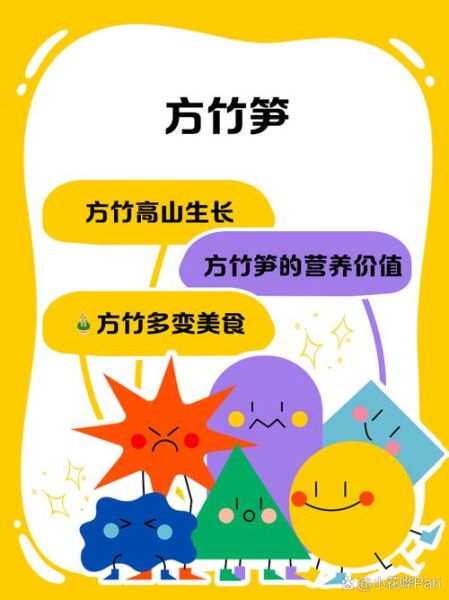 方竹笋怎么长期保存_方竹笋冷冻还是冷藏好-第1张图片-山城妙识 方竹笋怎么长期保存_方竹笋冷冻还是冷藏好-第1张图片-山城妙识