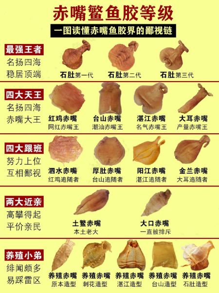 花胶有哪些种类_花胶等级怎么分-第1张图片-山城妙识 花胶有哪些种类_花胶等级怎么分-第1张图片-山城妙识