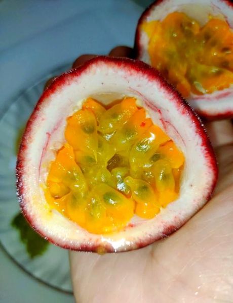 鸡爪果怎么吃_鸡爪果的功效与作用-第3张图片-山城妙识