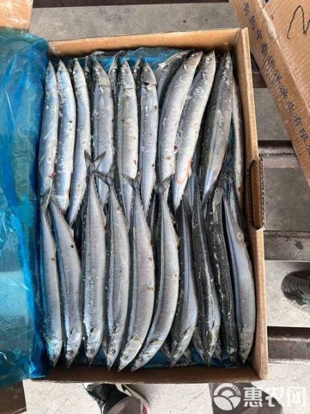 2021年秋刀鱼多少钱一斤_秋刀鱼价格为什么暴涨-第1张图片-山城妙识