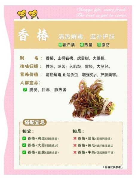 香椿芽的营养价值_香椿芽的功效与作用-第1张图片-山城妙识 香椿芽的营养价值_香椿芽的功效与作用-第1张图片-山城妙识