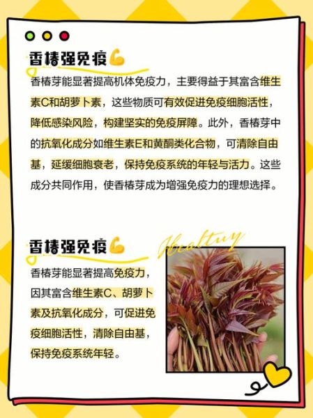 香椿芽的营养价值_香椿芽的功效与作用-第3张图片-山城妙识 香椿芽的营养价值_香椿芽的功效与作用-第3张图片-山城妙识