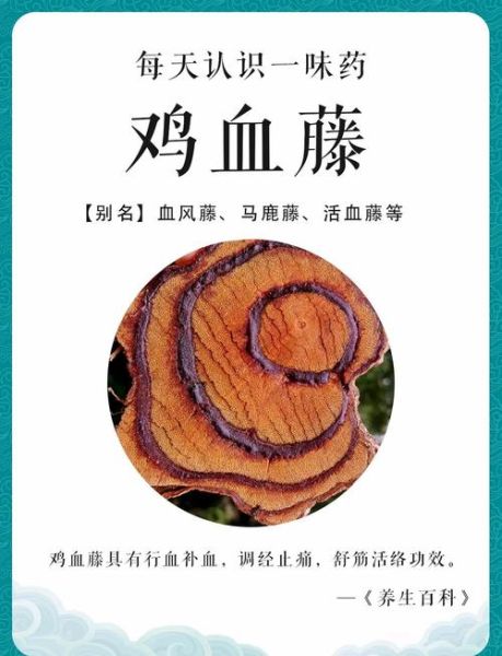 鸡血藤的功效与作用_鸡血藤主治什么病-第1张图片-山城妙识 鸡血藤的功效与作用_鸡血藤主治什么病-第1张图片-山城妙识