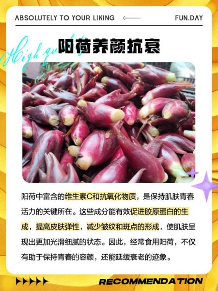 阳荷的功效与副作用有哪些_阳荷怎么吃最安全-第3张图片-山城妙识 阳荷的功效与副作用有哪些_阳荷怎么吃最安全-第3张图片-山城妙识