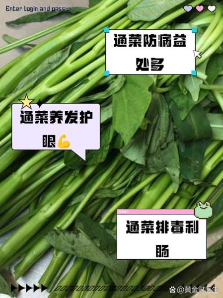通菜的功效与作用_通菜怎么吃最营养-第3张图片-山城妙识