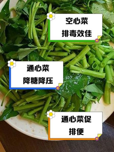 通菜的功效与作用_通菜怎么吃最营养-第2张图片-山城妙识