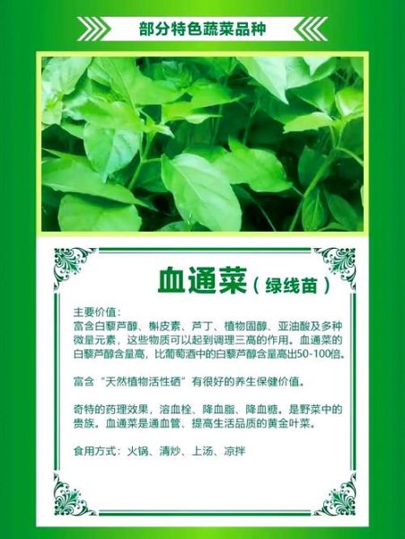 通菜的功效与作用_通菜怎么吃最营养-第1张图片-山城妙识