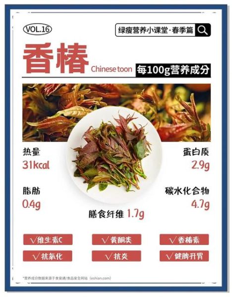 香椿的营养价值_香椿的食用禁忌-第1张图片-山城妙识