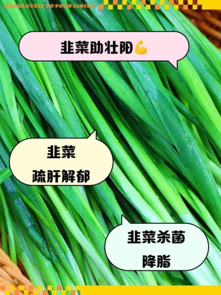 韭菜怎么吃最壮阳_韭菜壮阳吃法有哪些-第1张图片-山城妙识 韭菜怎么吃最壮阳_韭菜壮阳吃法有哪些-第1张图片-山城妙识