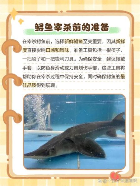 鲟鱼怎么杀_鲟鱼怎么清洗-第1张图片-山城妙识 鲟鱼怎么杀_鲟鱼怎么清洗-第1张图片-山城妙识