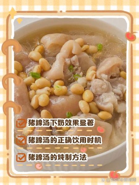 产妇催奶猪蹄汤怎么做_猪蹄汤下奶做法-第3张图片-山城妙识