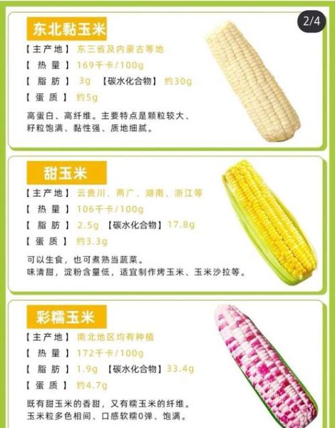 一根玉米的热量相当于多少米饭_减肥能吃玉米吗-第1张图片-山城妙识