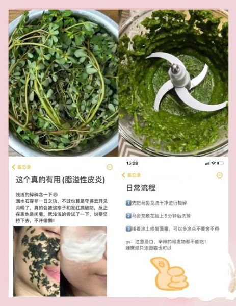 马齿苋治疗皮肤病有效吗_马齿苋怎么用治湿疹-第3张图片-山城妙识