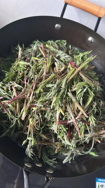 山野菜怎么吃_山野菜怎么做才好吃-第1张图片-山城妙识