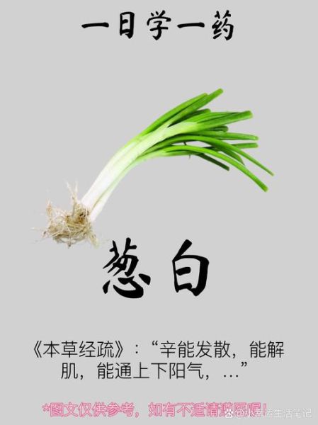 葱白煮水用大葱还是小葱_区别与功效-第1张图片-山城妙识 葱白煮水用大葱还是小葱_区别与功效-第1张图片-山城妙识