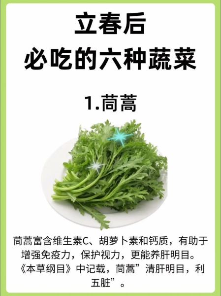 立春吃什么菜_春季养生蔬菜推荐-第1张图片-山城妙识