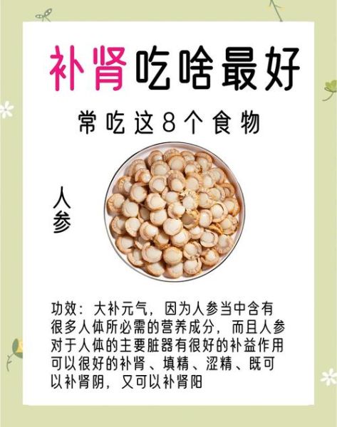 补肾的食物有哪些_肾虚吃什么食物好-第1张图片-山城妙识 补肾的食物有哪些_肾虚吃什么食物好-第1张图片-山城妙识